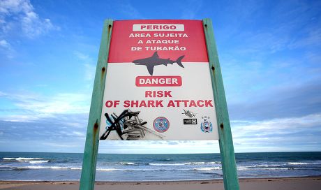 Sign Warning Risk Shark Attacks On Editorial Stock Photo - Stock Image ...