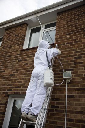 Pest Controller Protective Clothing Carrying Canister Editorial Stock ...