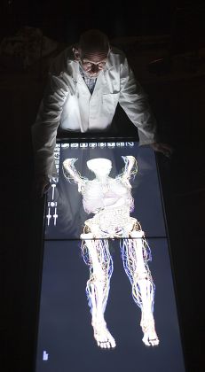 Gordon Findlater Professor Translational Anatomy Anatomage Editorial ...