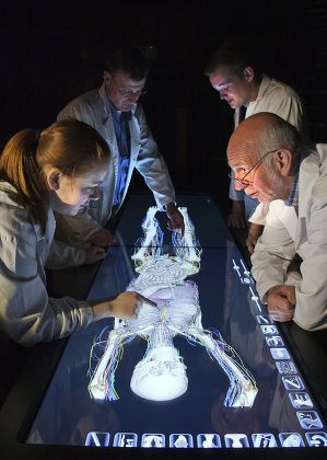 Gordon Findlater Professor Translational Anatomy Students Editorial ...