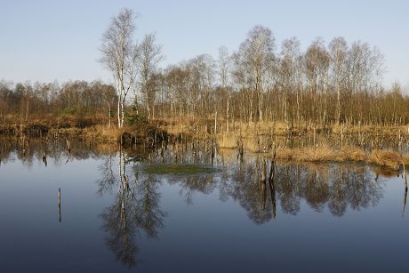 4 Dönche Stock Pictures, Editorial Images and Stock Photos | Shutterstock