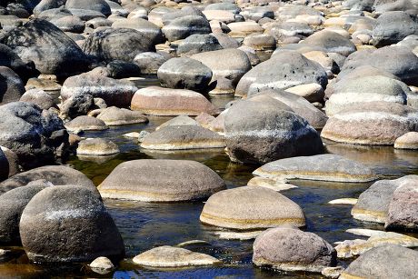 250 Fango Stock Pictures, Editorial Images and Stock Photos | Shutterstock