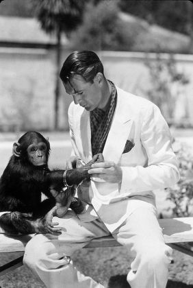 Film Stills 1932 Animals Actors Chimp Editorial Stock Photo - Stock ...