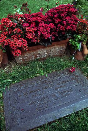Film Stills 1991 Donna Reed Westwood Editorial Stock Photo - Stock ...
