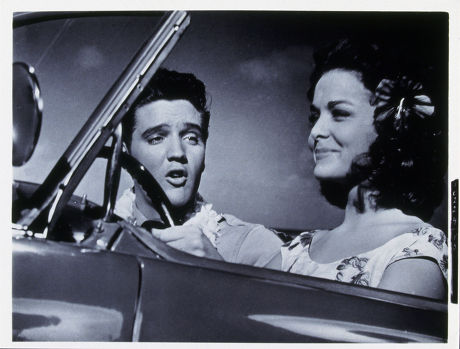 Film Stills Blue Hawaii 1961 Joan Editorial Stock Photo - Stock Image ...