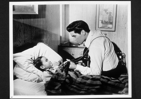 7 Vicky tiu Stock Pictures, Editorial Images and Stock Photos ...