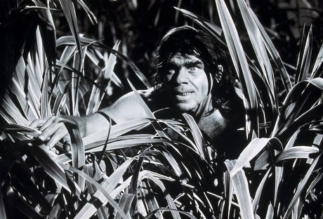 Film Stills Dinosaurus 1960 Kristina Hanson - Foto de stock de ...