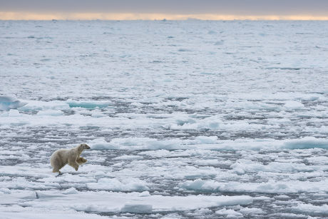 250 Archipeligo Stock Pictures, Editorial Images and Stock Photos ...