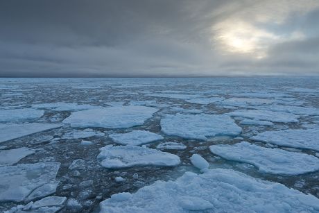 Ice Floes Edge Packice Arctic Ocean Editorial Stock Photo - Stock Image ...
