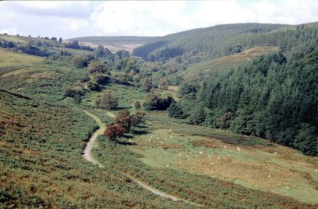Rhayader Powys Wales Editorial Stock Photo - Stock Image | Shutterstock