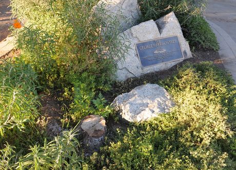 Location Tree Planted Memory George Harrison Editorial Stock Photo ...
