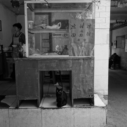 Cat Front Advertisement Coca Cola Chengdu Editorial Stock Photo - Stock ...