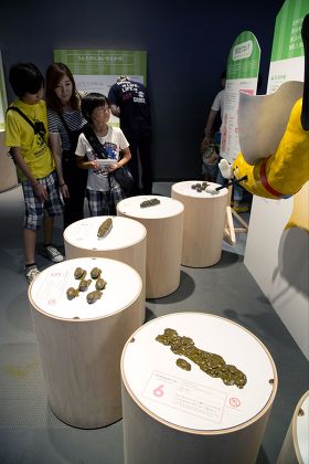 Visitors See Different Kinds Human Faeces Editorial Stock Photo - Stock ...