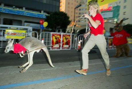 __COUNT__ KANGAROO RACE PROMOTING THE FILM 'KANGAROO JACK'S KANGAROO ...