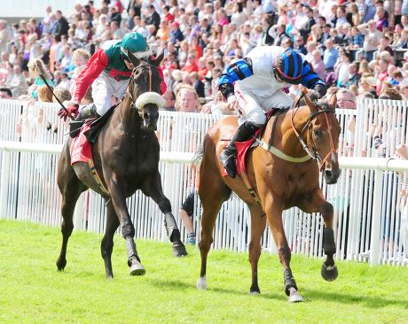 Galway Ted Veale Barry Geraghty Left Editorial Stock Photo - Stock ...