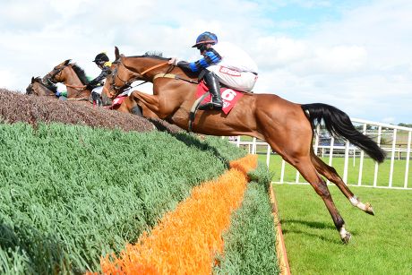 Galway Fosters Cross Davy Russell Jump Editorial Stock Photo - Stock ...