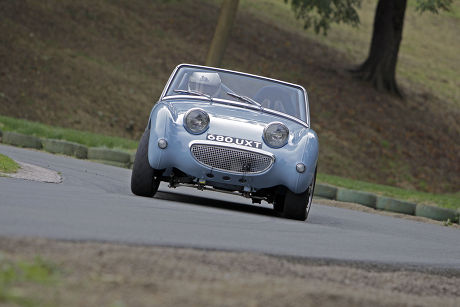 500 Frogeye Stock Pictures, Editorial Images and Stock Photos | Shutterstock