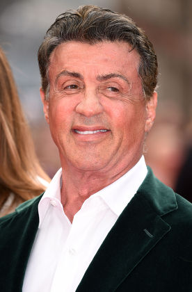 Sylvester Stallone Editorial Stock Photo - Stock Image | Shutterstock