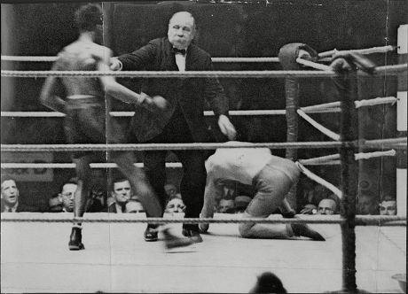17 1931 boxers Stock Pictures, Editorial Images and Stock Photos ...