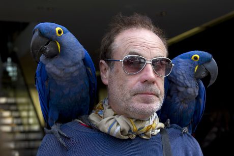 Man Two Hyacinth Macaws On His Editorial Stock Photo - Stock Image ...