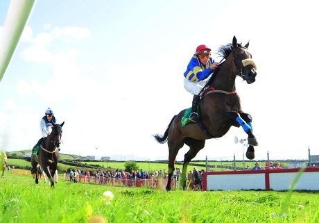 Horse Racing - 8 Aug 2014 Stock Pictures, Editorial Images and Stock ...