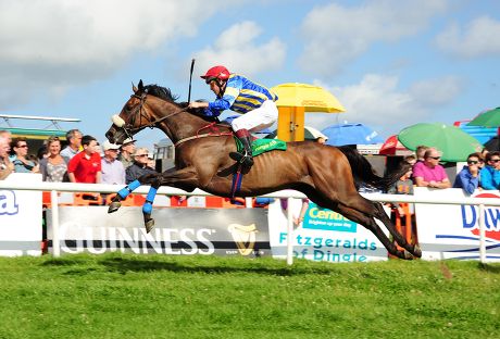 Horse Racing - 8 Aug 2014 Stock Pictures, Editorial Images and Stock ...