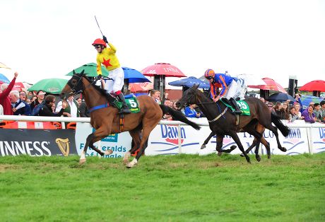 Dingle Horse Pony Races Coola Boola Editorial Stock Photo - Stock Image ...