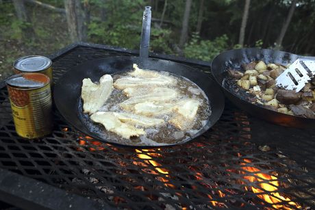 Lakeside Dinner Otter Lake Near Missinipe Editorial Stock Photo - Stock ...
