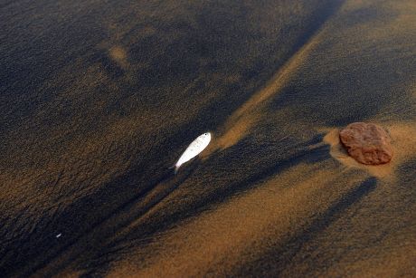 Mysterious Black Sand Appears On Silver Editorial Stock Photo - Stock ...