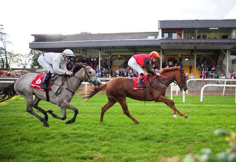 Gowran Park Goen Viral Pat Smullen Editorial Stock Photo - Stock Image ...