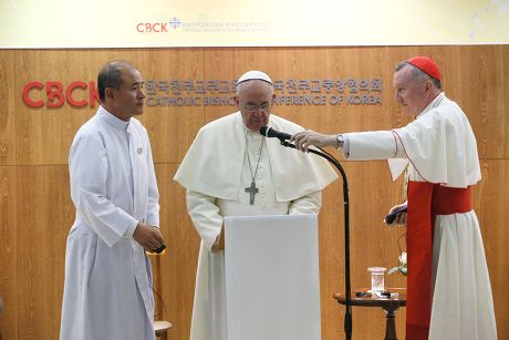 Pope Francis Interpreter Cardinal Pietro Parolin Editorial Stock Photo ...