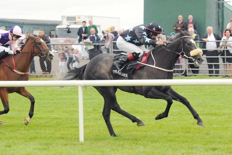 Tralee Horse Pony Races Che Guevara Editorial Stock Photo - Stock Image ...
