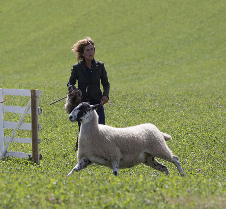 Shepherdess Katy Cropper Taking Part Brace Editorial Stock Photo ...