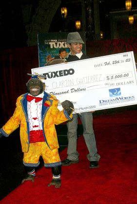 Winner Monkey Jacob Hollywood Animals Designer Editorial Stock Photo ...