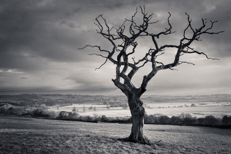 1 Brian kerr photography Stock Pictures, Editorial Images and Stock ...
