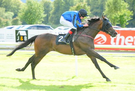 Killarney Henson Connor King Easily Win Editorial Stock Photo - Stock ...