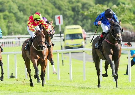 Killarney Henson Connor King Easily Win Editorial Stock Photo - Stock ...