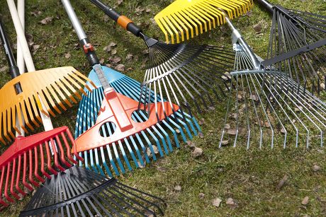 Lawn Rakes Editorial Stock Photo - Stock Image | Shutterstock