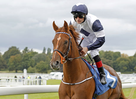 Anthem Alexander Pat Smullen Editorial Stock Photo - Stock Image ...