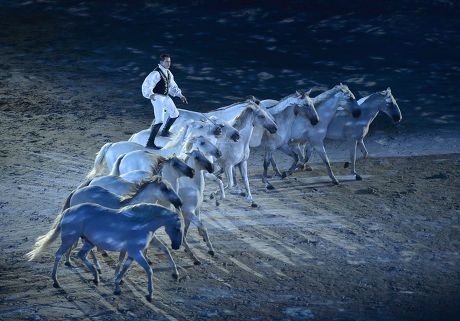 Adventures Gallop Sea Carries Men Horses Editorial Stock Photo - Stock ...