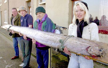 15 Skinningrove Stock Pictures, Editorial Images and Stock Photos ...