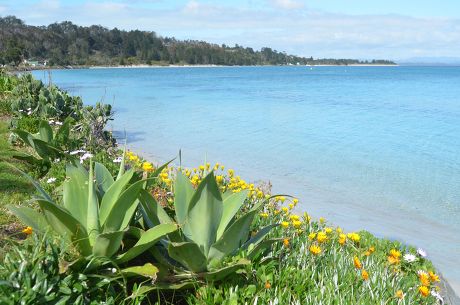 Rangiputa Beach Karikari Peninsula Northland New Editorial Stock Photo ...