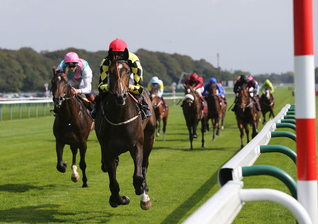 Lord Ben Stack Danny Tudhope Win Editorial Stock Photo - Stock Image ...