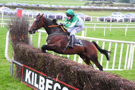 Kilbeggan Dedoctorsdaughter Brian Cawley Win Bloomfields Editorial ...