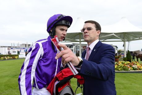 Horse Racing - 8 Sep 2014 Stock Pictures, Editorial Images and Stock ...