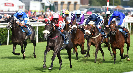 41 Scarborough stakes Stock Pictures, Editorial Images and Stock Photos ...