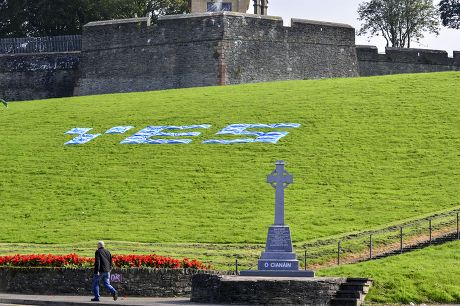 Scotlands National Flag Flying Bogside Show Editorial Stock Photo ...