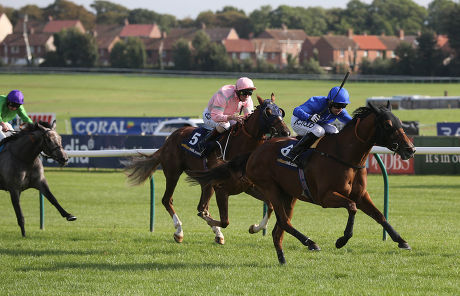 Sky Hunter Graham Lee Win Listed Editorial Stock Photo - Stock Image ...