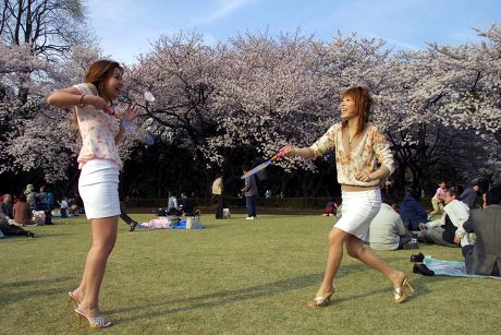 Cherry Blossom Season Brief Highly Celebrated Editorial Stock Photo ...