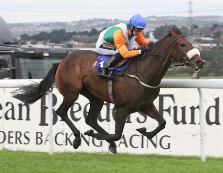 Apprentice Jack Garritty Brings Abbey Angel Editorial Stock Photo ...